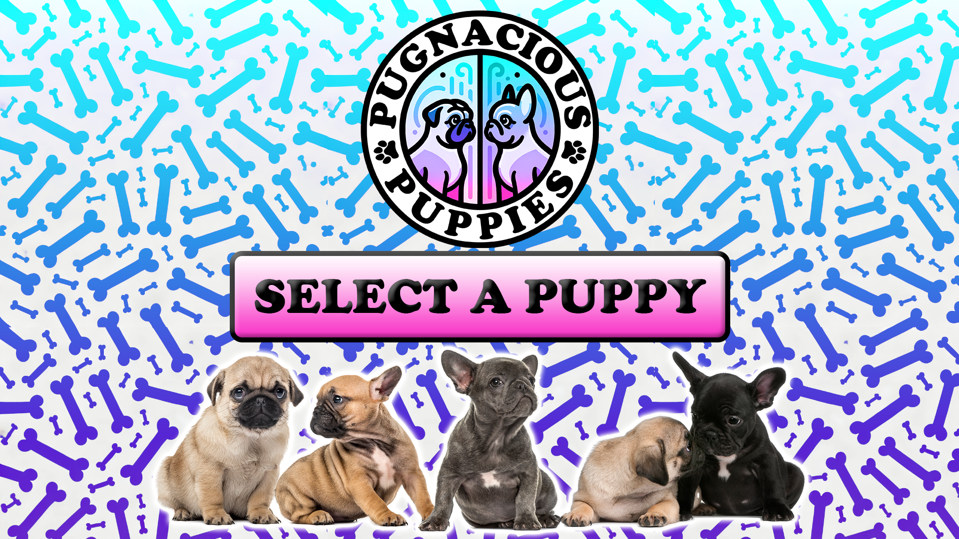 Puppies: Pugs & Frenchies | Pets 24/7 in Baytown, TX + HTX
